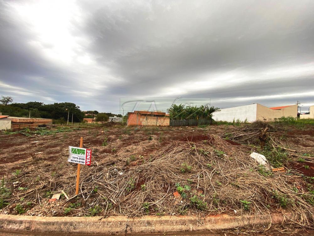 Terrenos Lote Jardim Paulista Santa Cruz Do Rio Pardo R 80 000